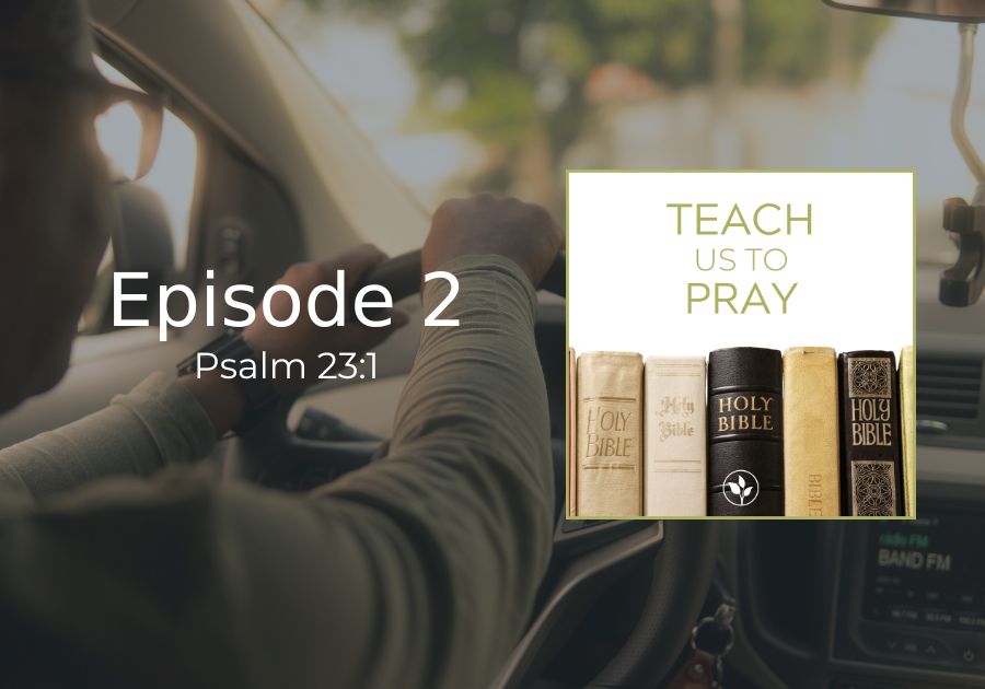 Psalm 23:1 - Denver Institute For Faith & Work